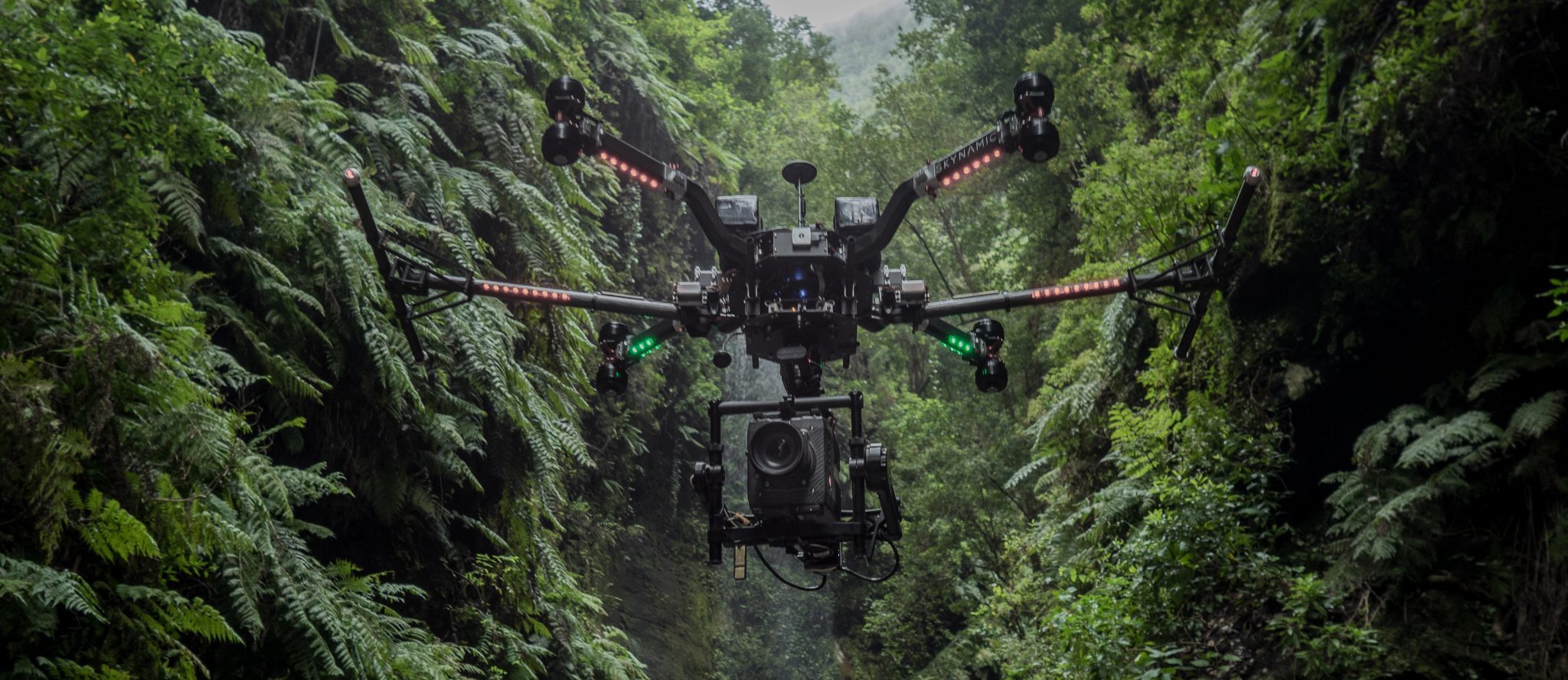 Aerial Company Germany flying ALEXA & RED - SKYNAMIC